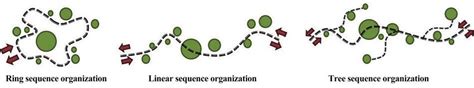 Schematic Diagram Of The Organisation Of The Landscape Sequence