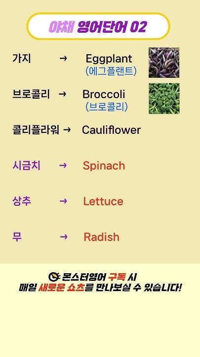 야채에 관련 영어 단어 02 ㅣ들으면 들을 수록 외워져요 기초영어회화 여행영어 필수영어단어 Youtube