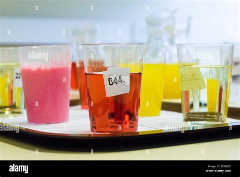 Consumer Testing At A Consumer Product Testing Laboratory In Reading UK Focus Groups Sample