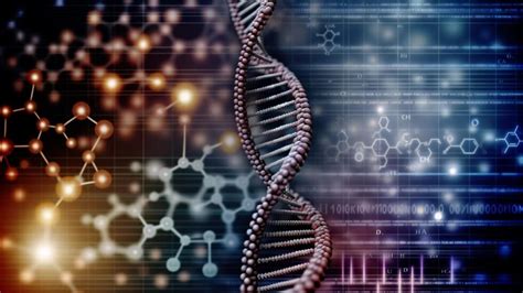 Decoding Life Understanding Dna And Its Impact English Plus Podcast