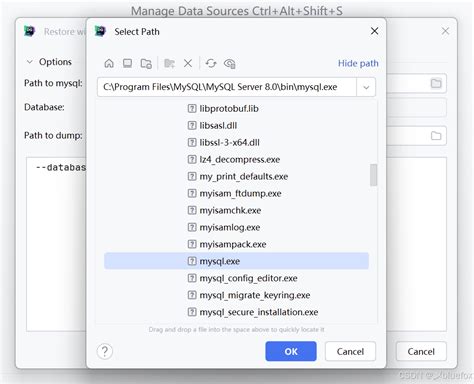 记录使用datagrip备份数据库信息 Csdn博客