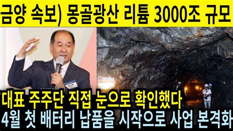 긴급속보 금양 몽골광산 리튬 3000조 규모 대표 주주단 직접 눈으로 확인 4월 첫 배터리 납품을 시작으로 사업 본격화 모든
