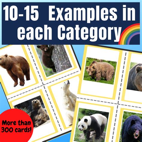 Match Sort Non Identical Pictures For Aba Autism Ablls R B8 With Photos Made By Teachers