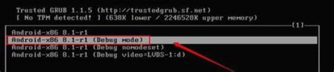 vmware虚拟机安装android x86 64 8 1 rc1 iso 无法进入图形界面黑屏问题 vmware安装android iso进