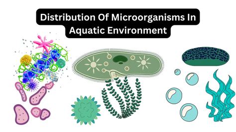 Extremophiles Microbiology Of Extreme Environments Definition Types Examples Biology Notes