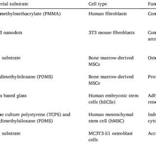 Nanotopographies Affect Cell Adhesion Spreading Behaviours Download Scientific Diagram