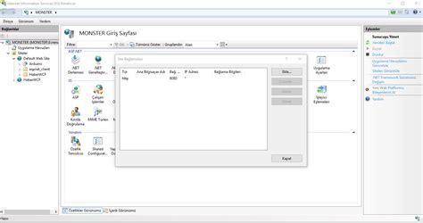 Asp Net How To Publish Web Site On IIS With External IP Address Via My Computer Stack Overflow
