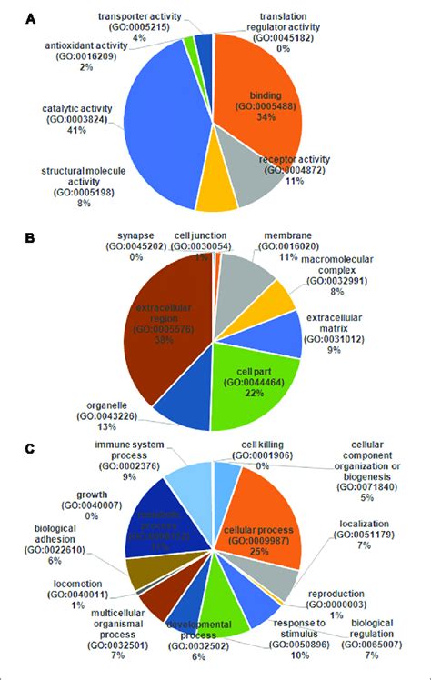 Gene Ontology Go Annotation And Functional Classification Of Download Scientific Diagram