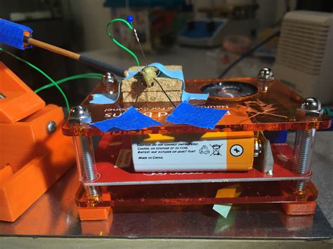 This Is How The Grasshopper Spends An Hour Of Its Time For Science