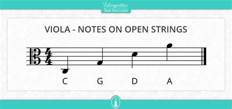 Viola Strings Labeled