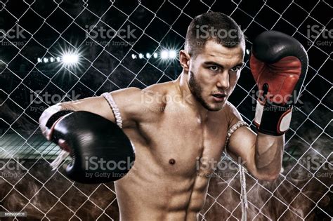 권투 케이지에서 싸우는 스포츠맨 무에타이 복서 조명과 연기와 배경입니다 공간을 복사합니다 건강한 생활방식에 대한 스톡 사진 및 기타 이미지 Istock
