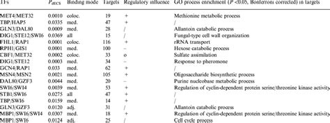 The List Of Predicted Tf Combinations With Significant Increase Of