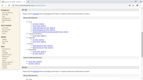 tomcat的下载及安装 tomcat下载 csdn博客
