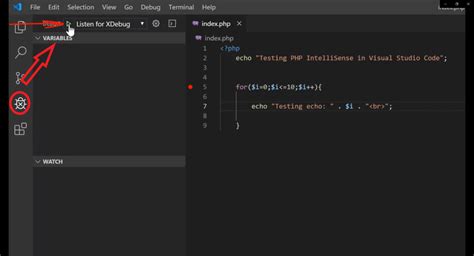 How To Set Up Visual Studio Code To Debug Requests With