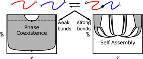 Macromolecules Vol 56 No 24 Acs Publications