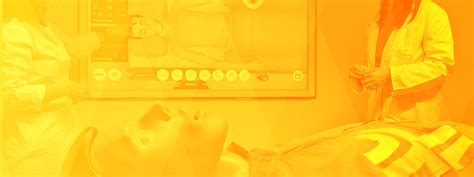 Tele Simulation Bridging Borders With Body Interact Body Interact