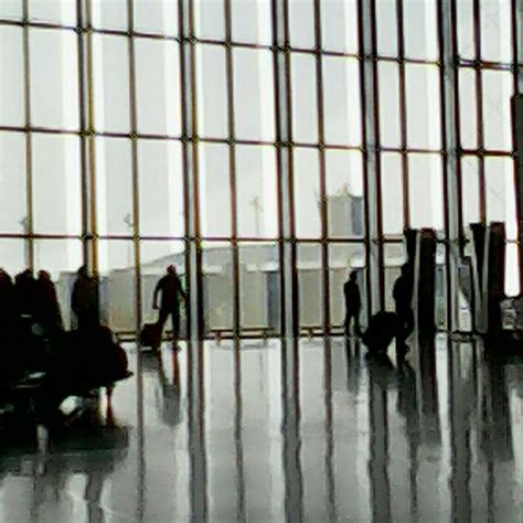 Programming Advice Youtube