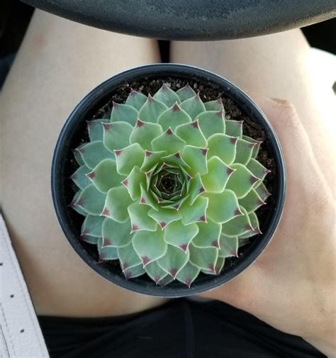 Pictures That Will Make You Moan In Delight