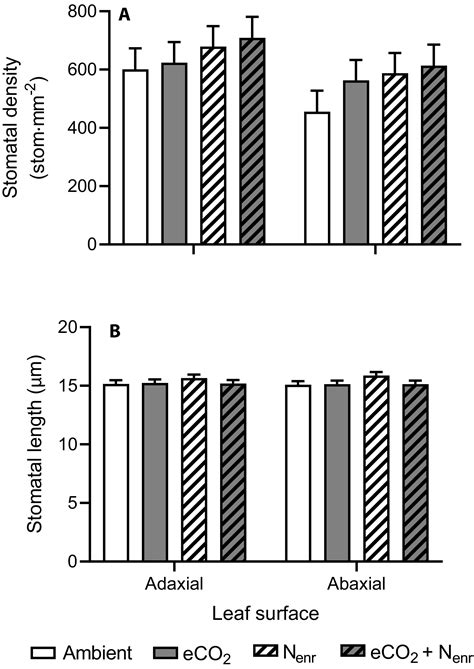 American Journal Of Botany