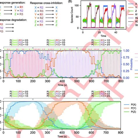 Probabilistic Decision Making In Stochastic Chemical Reaction Networks