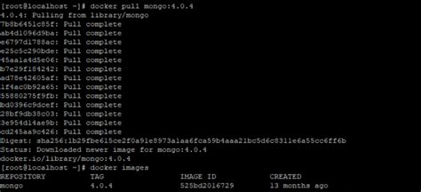 Deploy MongoDB Docker Container Rackspace Technology