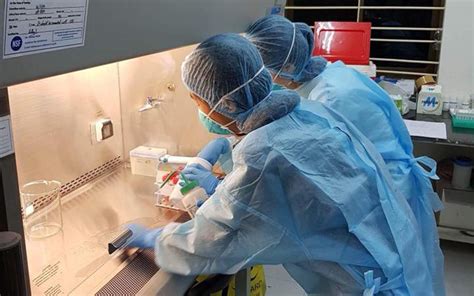 កុមារាអាយុ៩ឆ្នាំនៅខេត្តក្រចេះ ស្លាប់ដោយសារជំងឺផ្តាសាយបក្សី