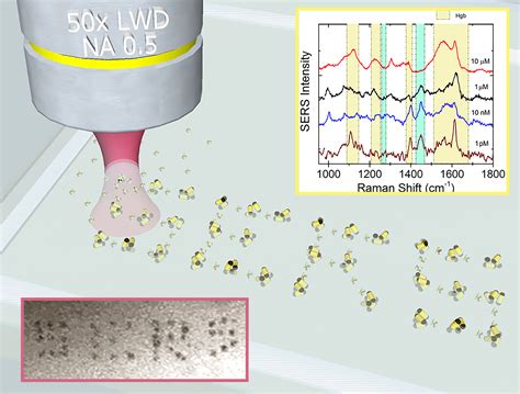Optical Aggregation Of Gold Nanoparticles For Sers Detection Of Proteins And Toxins In Liquid