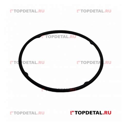 Кольцо уплотнительное теплообменника АКПП RENAULT 7701065863 купить в ...