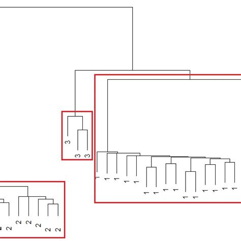 Hierarchical Clustering Using Combination Metric On Real Dataset