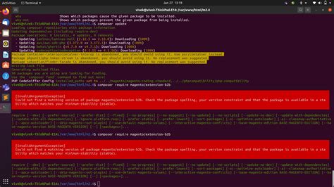 Could Not Find A Matching Version Of Package Magentoextension B2b