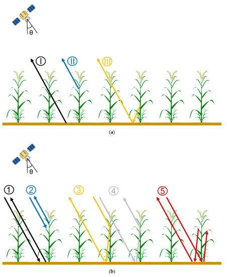 Remote Sensing Mdpi On Linkedin Global Monitoring Of The Vegetation