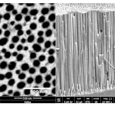 A B High Resolution Sem Images Acquired At High Beam Energy 5 Kv Download Scientific