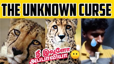 Cheetah Soogakkadai The Unknown Cursed Tale Cheetah Tamil Sreeni Youtube