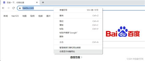 各牌浏览器设置地址栏显示完整url