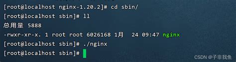 Linux安装nginx(超详细步骤)linux 安装nginx Csdn博客 Linux安装nginx(超详细步骤)linux 安装nginx Csdn博客