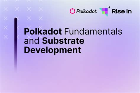 polkadot fundamentals and substrate development course rise in course