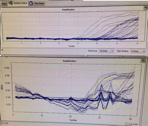 Can Anyone Help In Qpcr Amplification Curve Researchgate