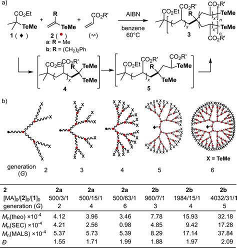 Stochastic Simulation Of Controlled Radical Polymerization Forming Dendritic Hyperbranched