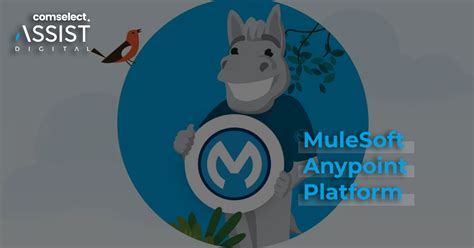 Mulesoft Anypoint Platform Wissenswertes Comselect Gmbh