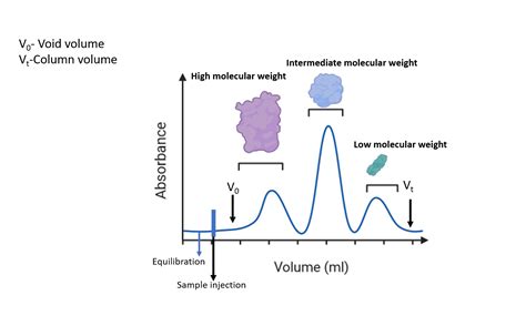 Protein Purification By Size Exclusion Chromatography SEC