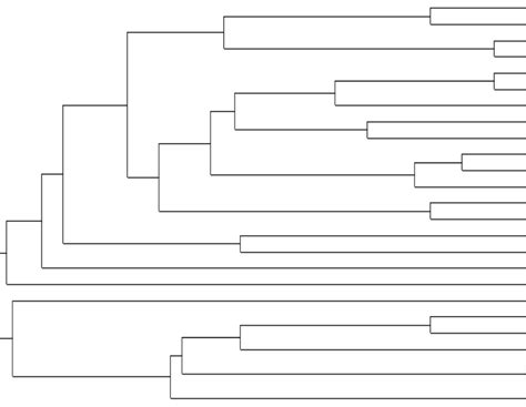 Dendrograms Of 25 Genotypes Based On Similarity Index Based On 44 Ssr
