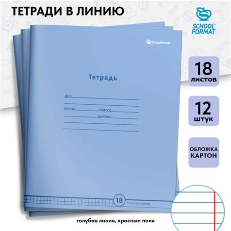 Тетрадь в линейку 18 листов, набор 12 штук, А5+, Schoolformat - купить ...