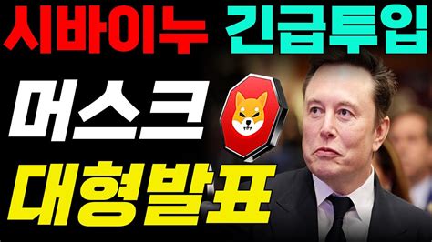 시바이누 코인 머스크의 결제수단 채택 5천억 긴급투입 엄청난 시바이누 바람의 대시작 독점으로 전해드리겠습니다 Youtube