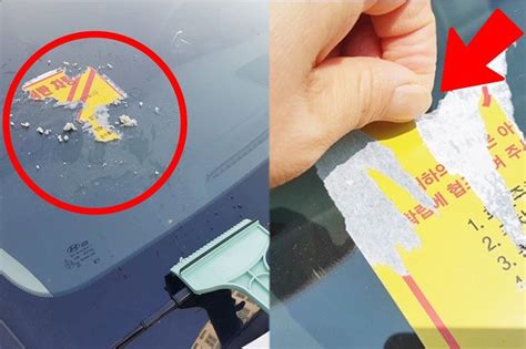 이게 되는구나 무슨 짓을 해도 자국 남던 주차 스티커 한 방에 떼는 법 뉴스트림