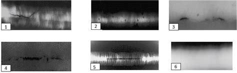 Sensors Free Full Text Automated Categorization Of Multiclass