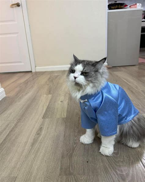 Цагаан сар тэмдэглэж буй амьтдын хайр татам өхөөрдөм 15 зураг