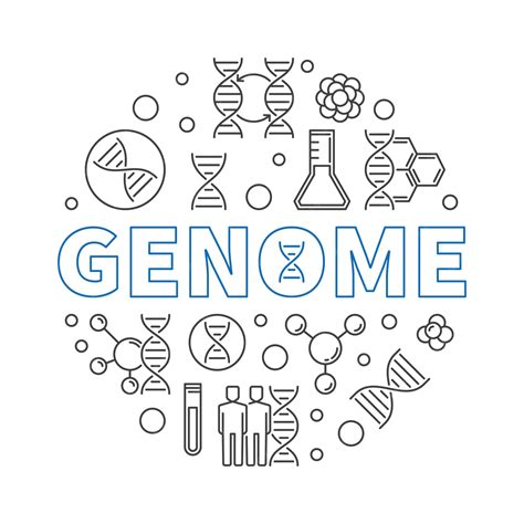 Premium Vector Genome Round Illustration In Thin Line Style