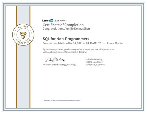 Yunjie Delina Shen On Linkedin Certificate Of Completion