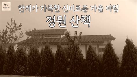 안개 낀 신비로운 가을 정원의 정취주택 정원 가꾸기작은 정원 Youtube