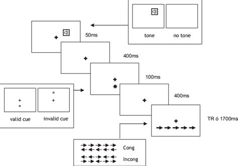 Schematic Representation Of The Attention Network Test Ant Each